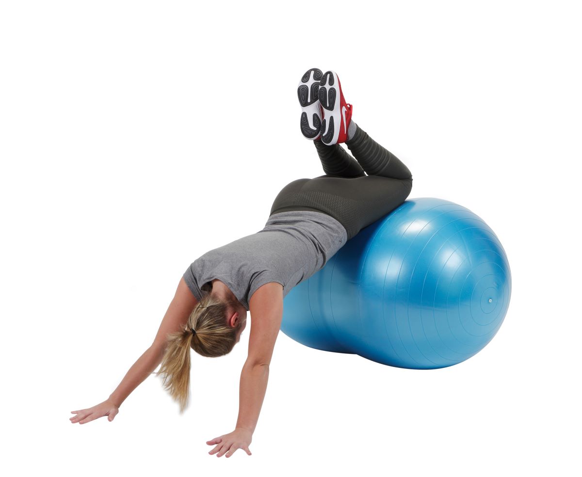 フィジオロール PLUS – 株式会社ギムニク