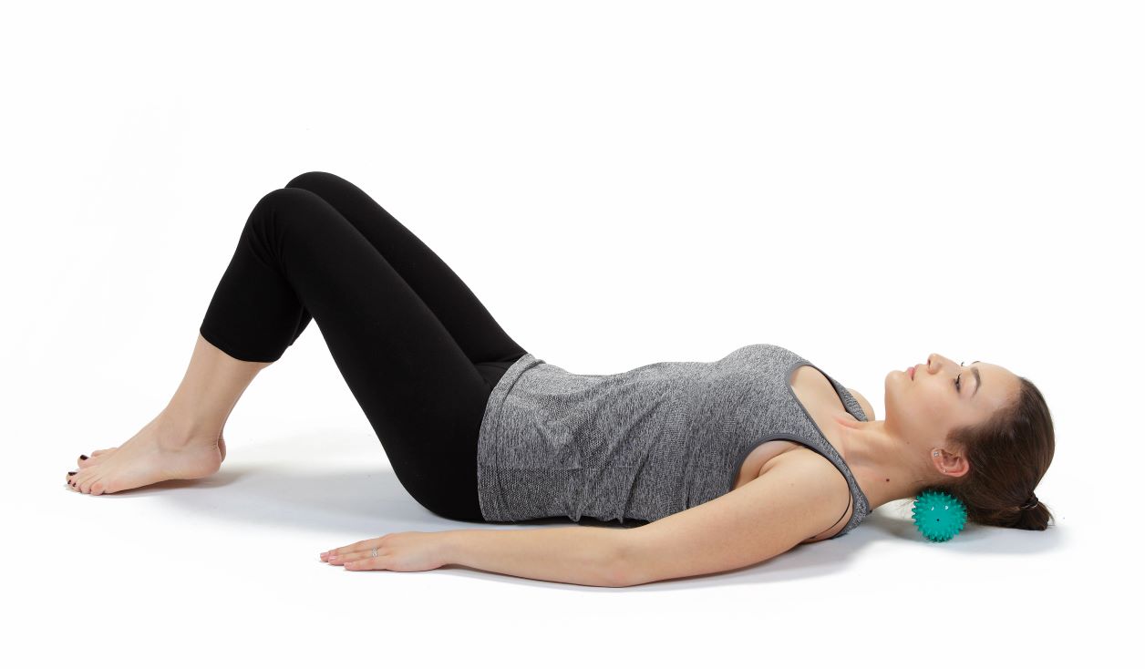 リフレックスロール – 株式会社ギムニク